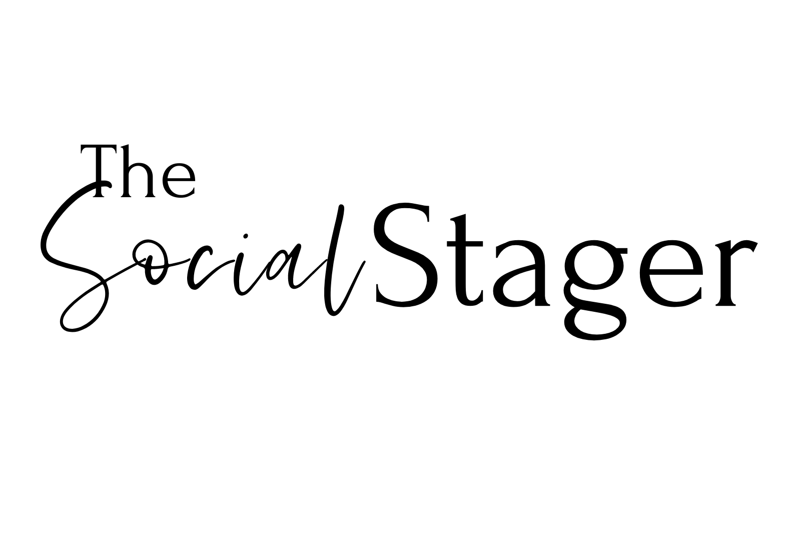The Social Stager Program - The Social Stager